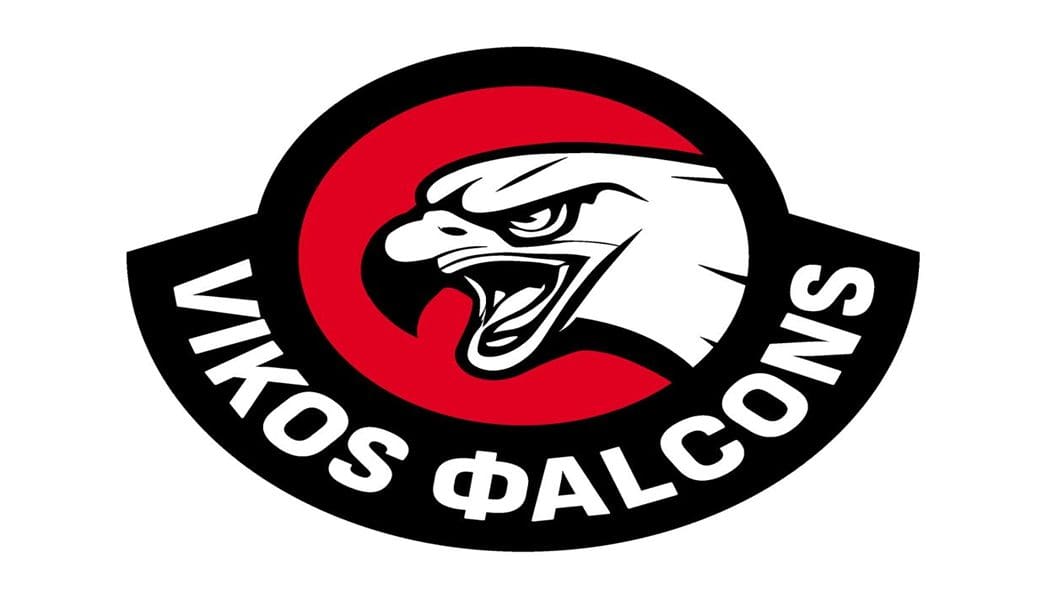 Για δυνατό τριπλό μεταγραφικό "χτύπημα" παλεύουν οι Vikos Falcons! | Super-FM